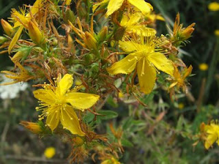 En La Casa De Nina: Pericó